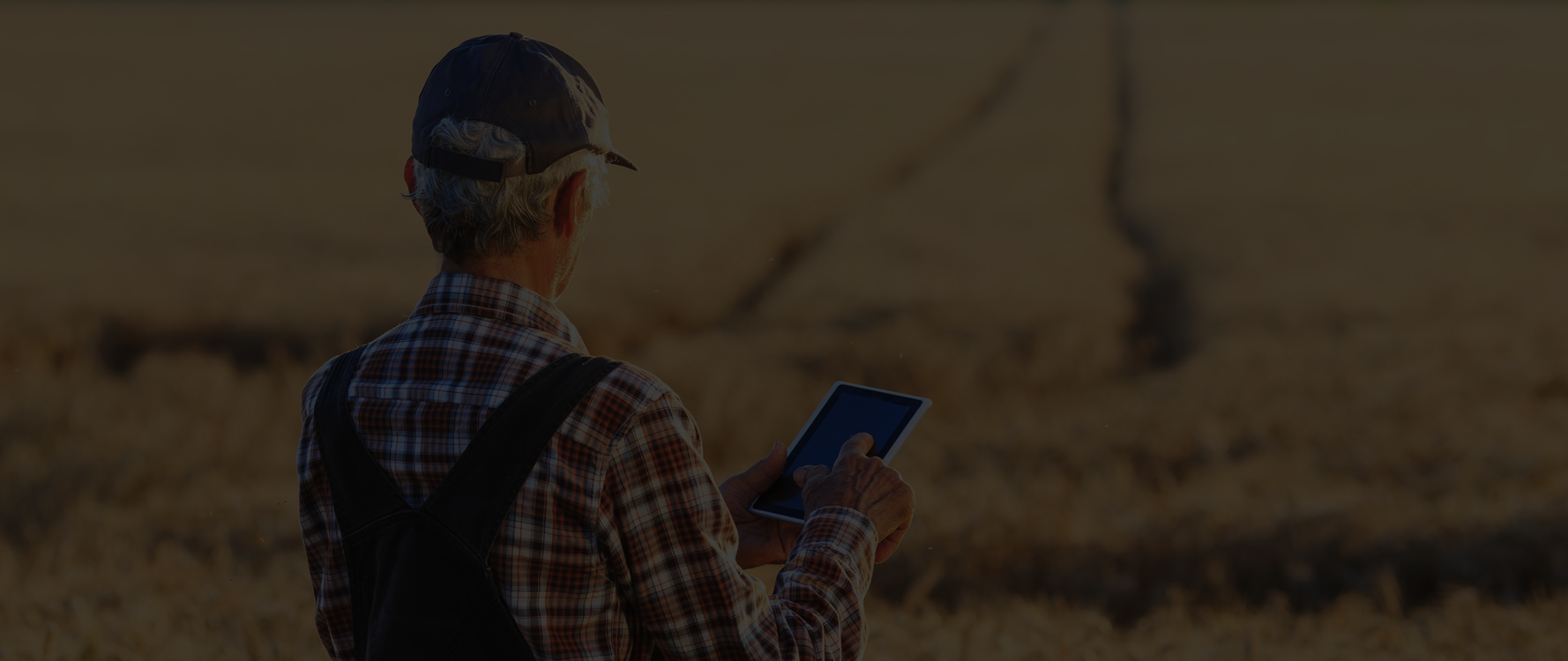 App do Produtor - Aliare